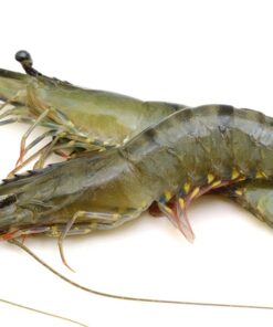 HOSO - MEKONG VIET NAM SEAFOOD